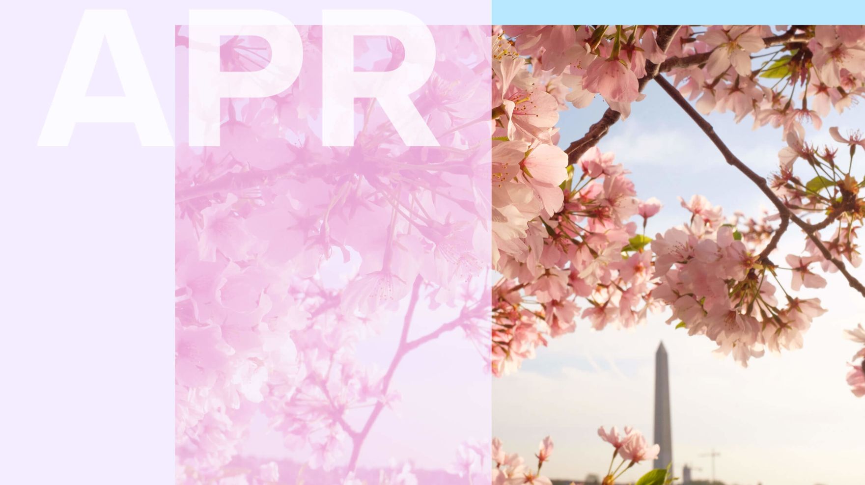 12 relaxing vacation spots for every month of the year